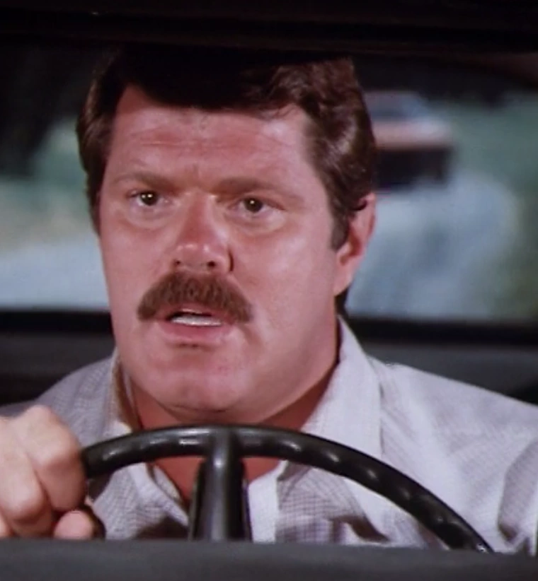 Dell Webber | The Dukes of Hazzard Wiki | Fandom