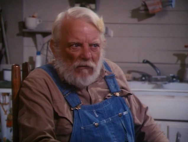 Jesse Duke Gallery | The Dukes of Hazzard Wiki | Fandom