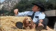Flash | The Dukes of Hazzard Wiki | Fandom