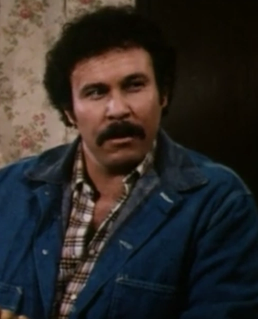 Sam Porter | The Dukes of Hazzard Wiki | Fandom