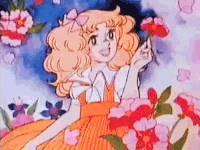 Candice White Ardley | Wiki Dulce Candy | Fandom