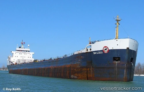 Tim S. Dool | Duluth Ships Wikia | Fandom