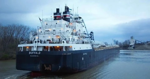 Buffalo | Duluthshippingnews Wikia | Fandom