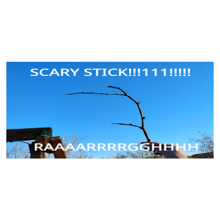 SCARY STICK | Dumb Rooms Wiki | Fandom