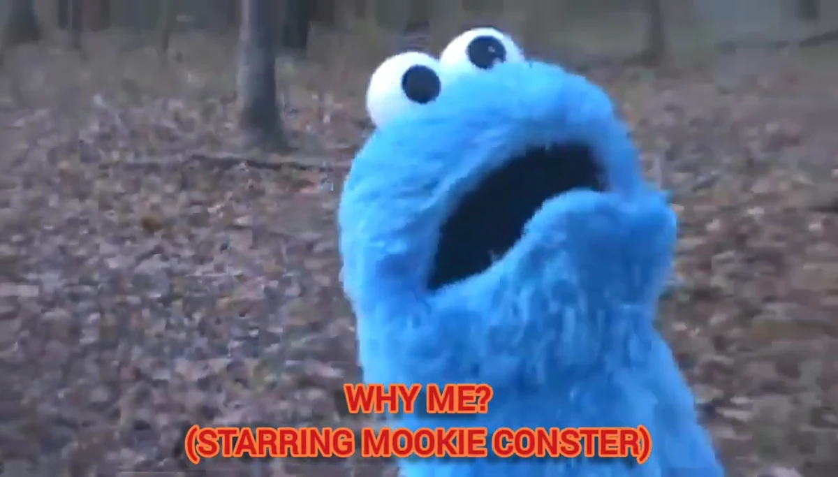 Why me? (Starring Mookie Conster) | Dumb Sh*t Official Wiki | Fandom