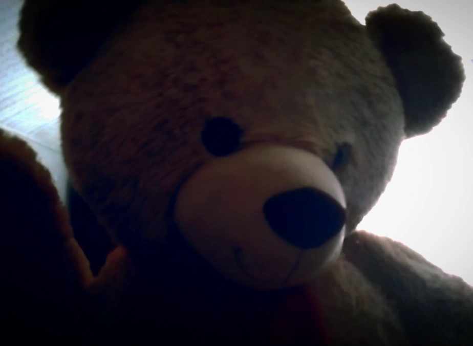 Whizzy the Talking Bear (Archived) | Dumb Sh*t Official Wiki | Fandom