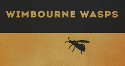 Quidditch Match:Ballycastle Bats VS Wimbourne Wasps | Dumbledore's Army ...