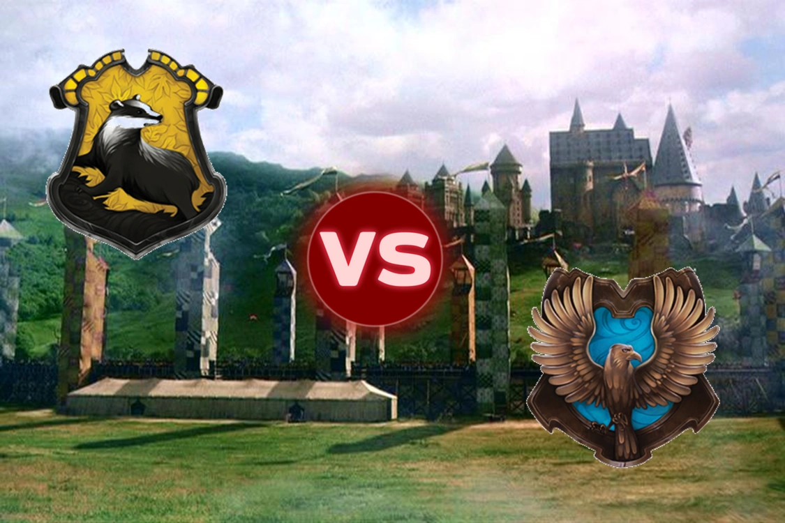 Quidditch Match:Hufflepuff VS Ravenclaw | Dumbledore's Army Role-Play ...