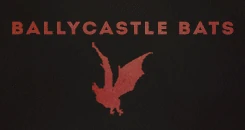 Quidditch Match:Ballycastle Bats VS Wimbourne Wasps | Dumbledore's Army ...