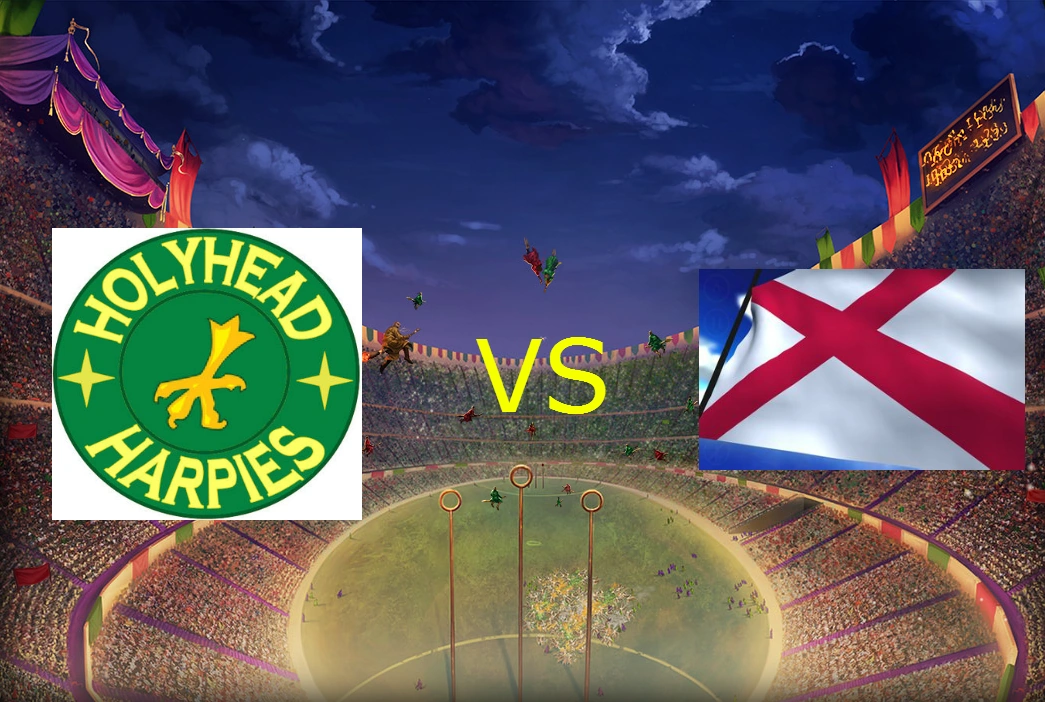 Quidditch Match:Holyhead Harpies VS Ballycastle Bats | Dumbledore's ...