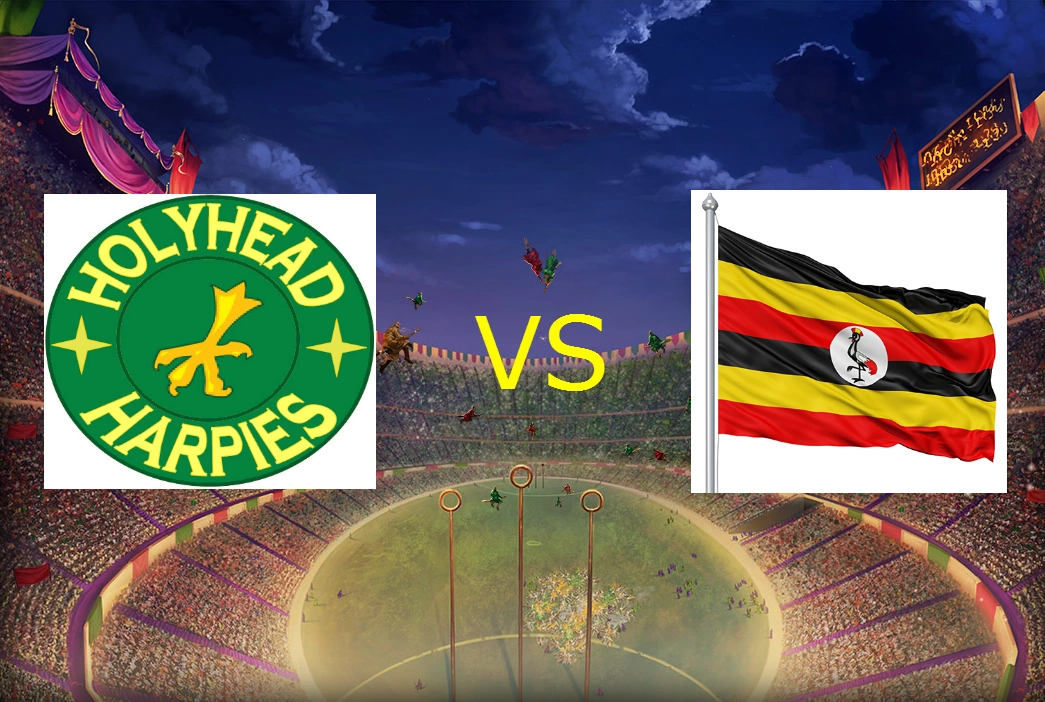 Quidditch Match:Holyhead Harpies VS Patonga Proudsticks | Dumbledore's ...