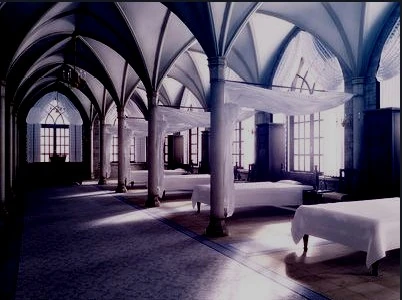 Citadel of the Lost/Infirmary | Dumbledore's Army Role-Play Wiki | Fandom