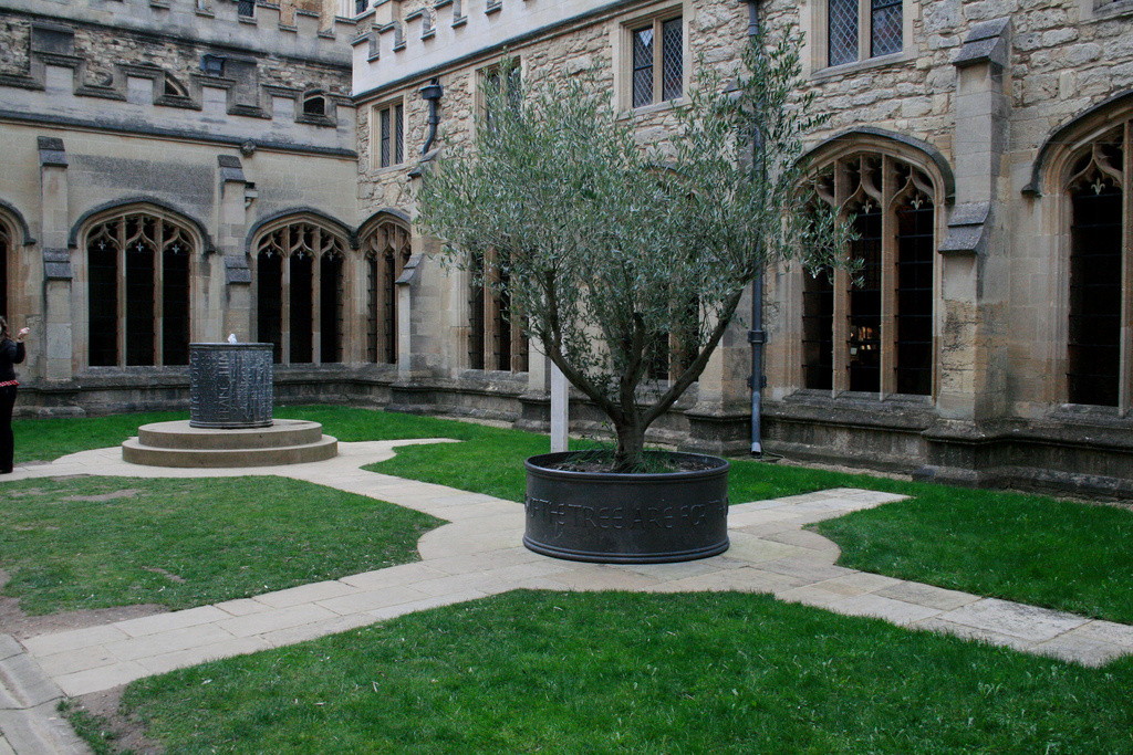Transfiguration Courtyard Dumbledores Army Role Play Wiki Fandom
