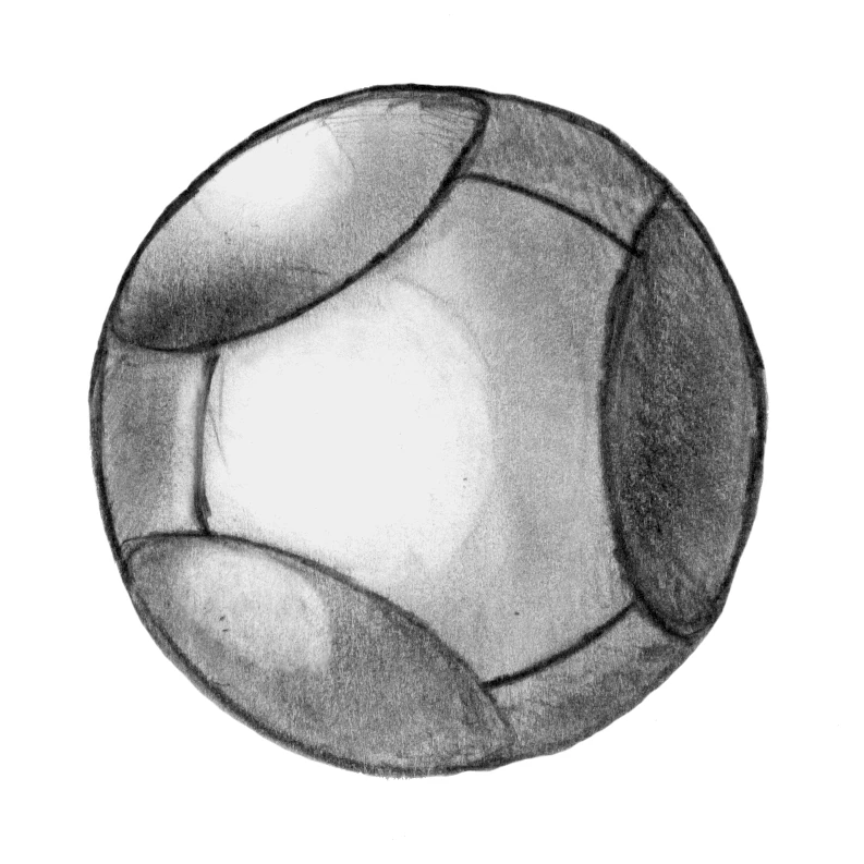 Quidditch Tryouts | Dumbledore's Army Role-Play Wiki | Fandom