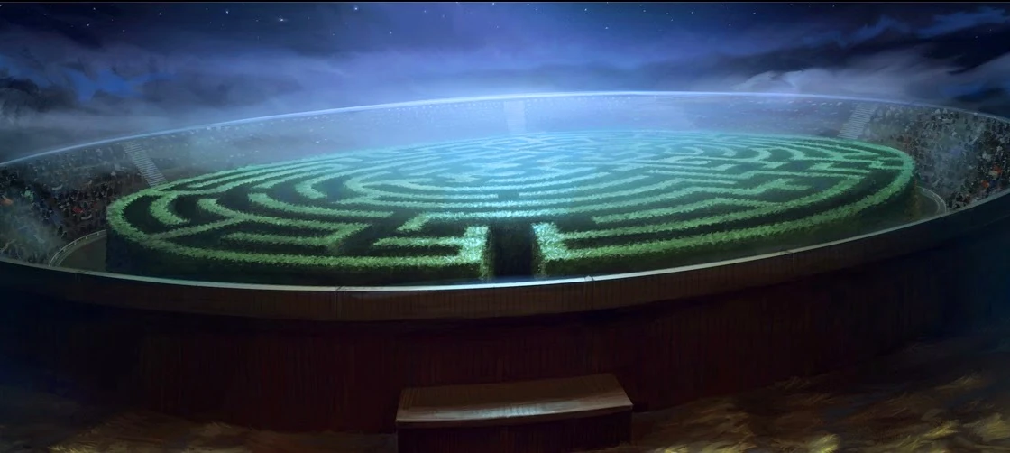 The Quidditch Pitch/Super Final | Dumbledore's Army Role-Play Wiki | Fandom