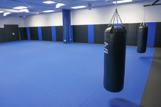 Department of Magical Law Enforcement/Auror Office/Auror Training ...