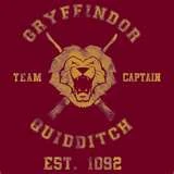 Gryffindor Quidditch Team | D.A. Roleplay Wiki | Fandom