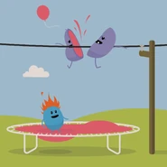 Numpty/Gallery | Dumb Ways to Die Wiki | Fandom