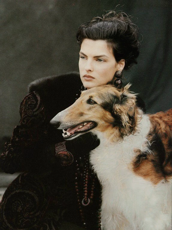 Amaryllis Mort | Du-Mort Wiki | Fandom