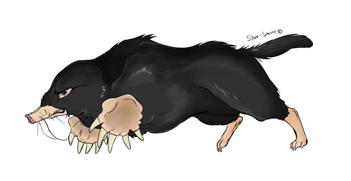 Snyde | Duncton Wood Wiki | Fandom