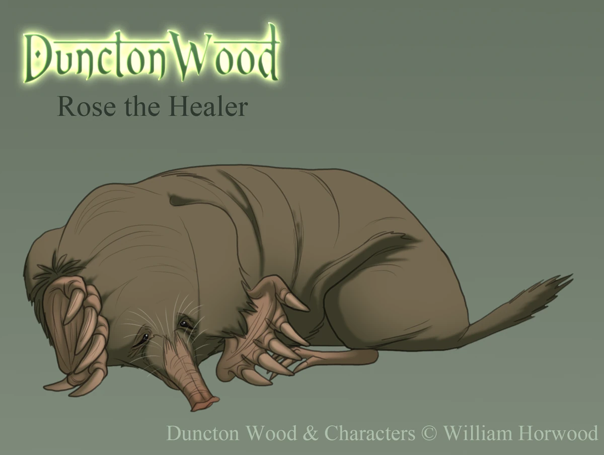 Rose the Healer | Duncton Wood Wiki | Fandom