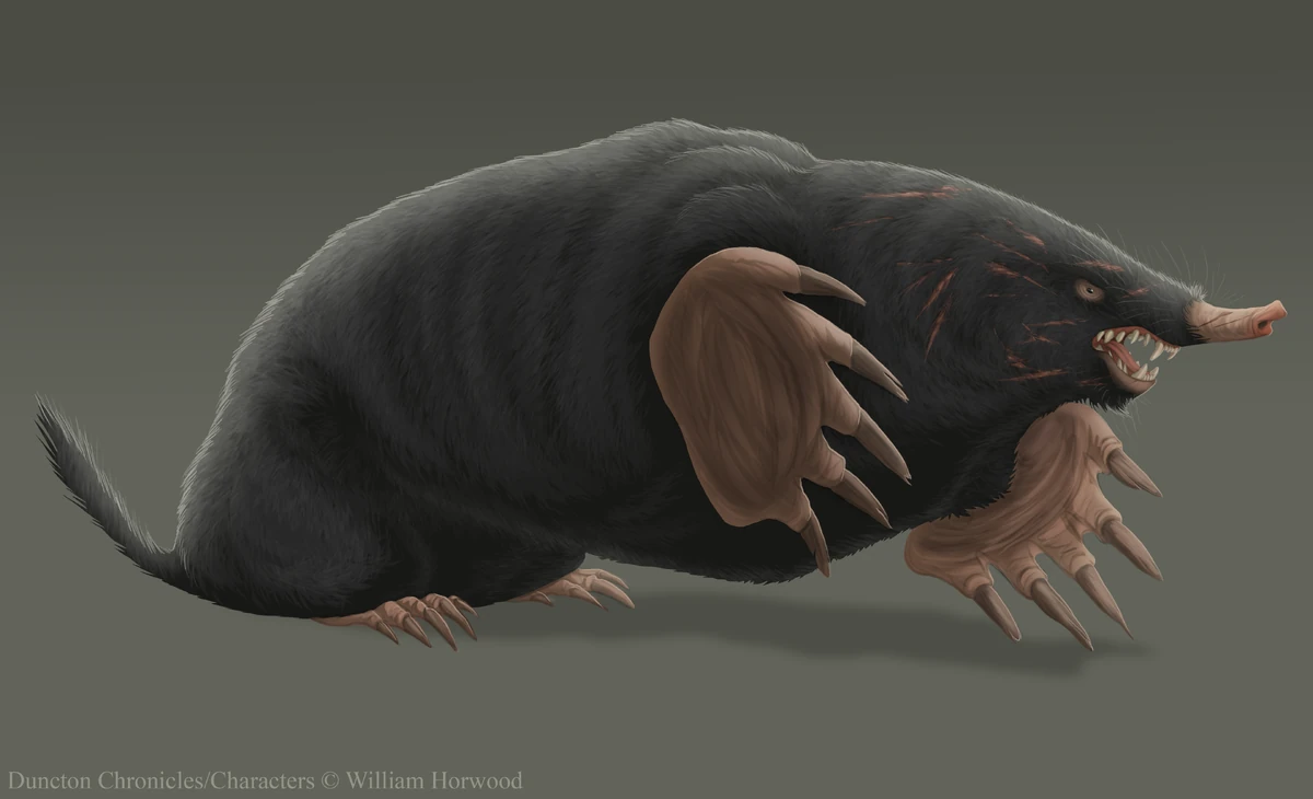 Mandrake | Duncton Wood Wiki | Fandom