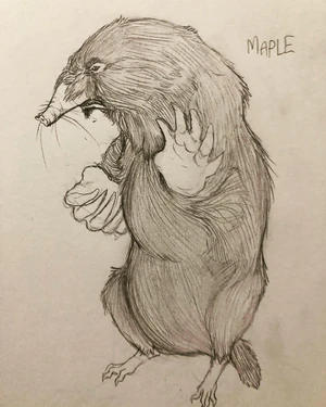 Maple | Duncton Wood Wiki | Fandom