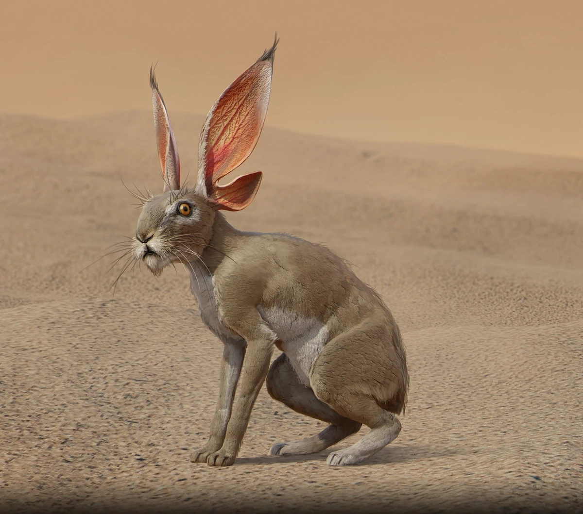 Desert hare | Dune Wiki | Fandom