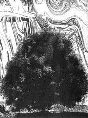 Pilingitam | Dune Wiki | Fandom