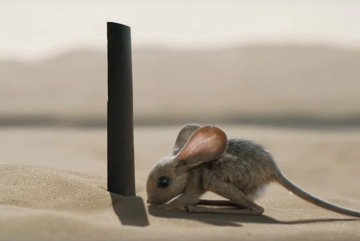 Sandsnork | Dune Wiki | Fandom