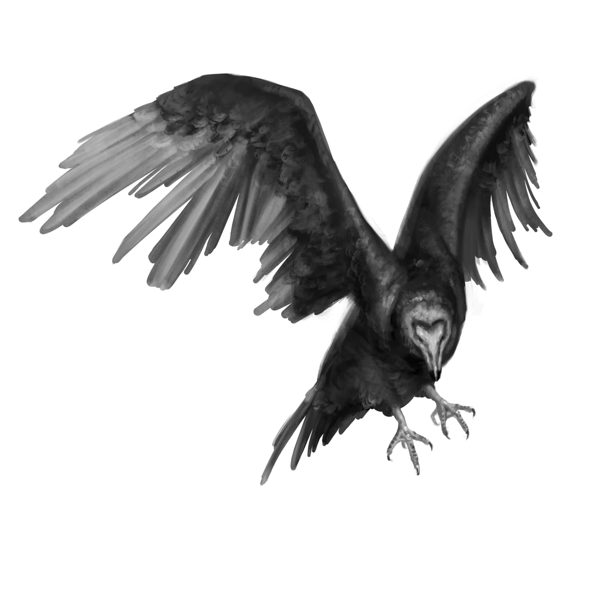 Vulture | Dune Wiki | Fandom