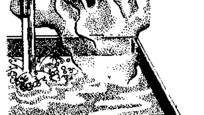 Discuss Everything About Dune Wiki | Fandom