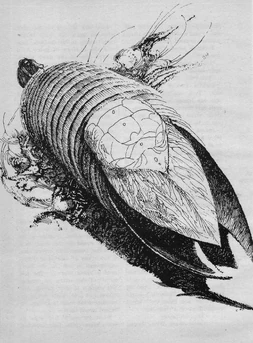 Sandworm | Dune Wiki | Fandom