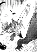 Sword Oratoria Light Novel Volume 13 | DanMachi Wiki | Fandom