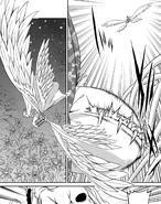 Asfi Al Andromeda/Image Gallery | DanMachi Wiki | Fandom