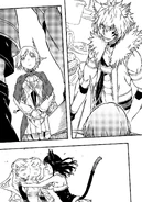 Sword Oratoria Light Novel Volume 13 | DanMachi Wiki | Fandom