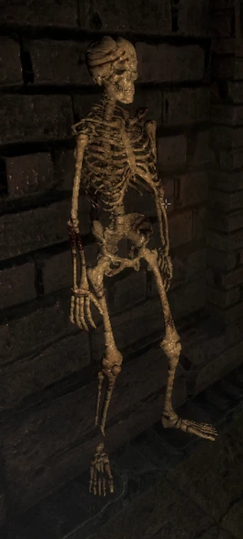 Skeletons (DN2) | Dungeon Nightmares ultra Wikia | Fandom