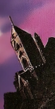 Charlock Castle | Dungeon Wiki | Fandom