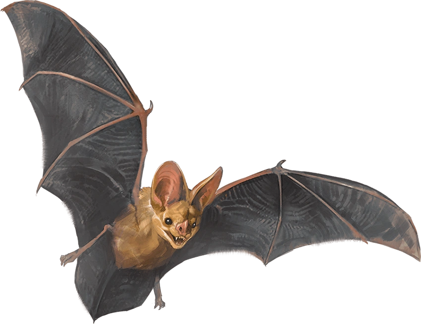 Swarm of Bats | Dungeons & Dragons: Realms of the Forgotten Wiki | Fandom