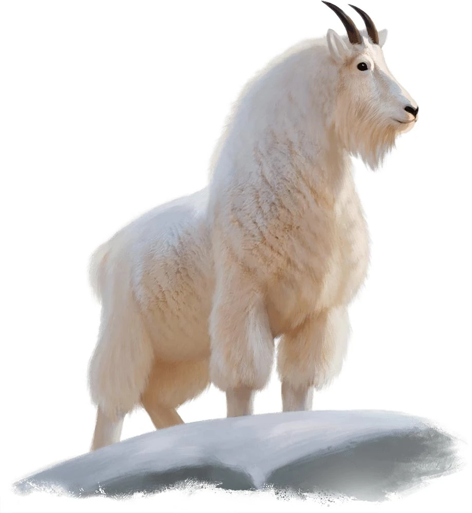 Goat | Dungeons & Dragons: Realms of the Forgotten Wiki | Fandom