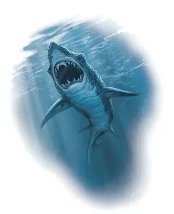 Reef Shark | Dungeons & Dragons: Realms of the Forgotten Wiki | Fandom