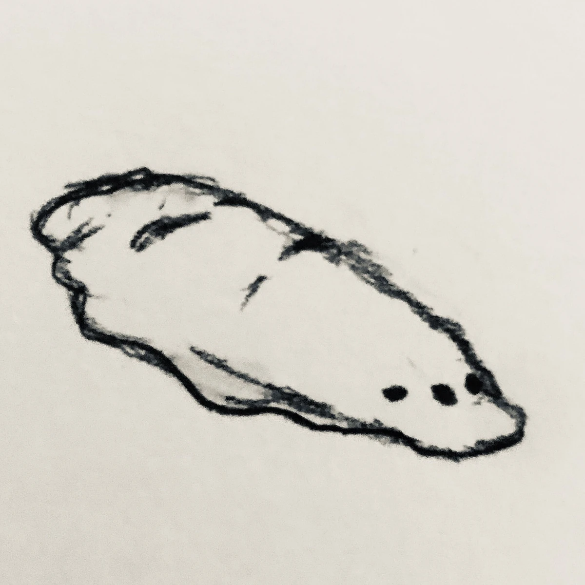 Silth | Dungeons in Dresilan Wiki | Fandom