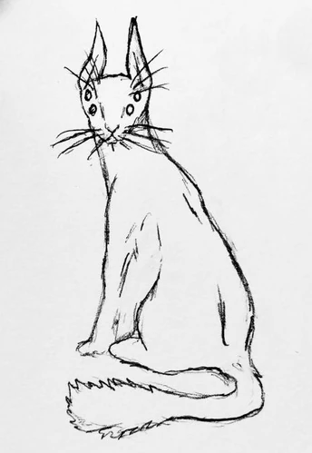 Kyatt | Dungeons in Dresilan Wiki | Fandom