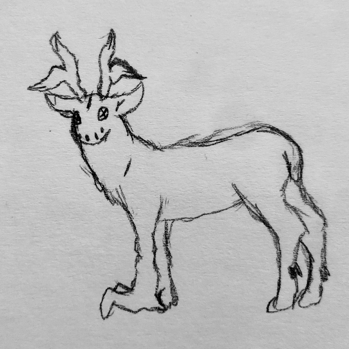 Terid | Dungeons in Dresilan Wiki | Fandom