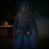 Cosmetics | Dungeons of Eternity Wiki | Fandom