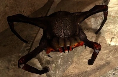 Poison Headcrab (3.5e Monster) | Dungeons and Dragons Wiki | Fandom