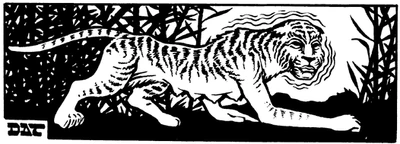 Weretiger | Dungeons and Dragons Wiki | Fandom