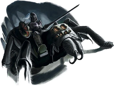 Spider Rider (4e Class) | Dungeons and Dragons Wiki | Fandom