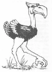 Axe beak | Dungeons and Dragons Wiki | Fandom