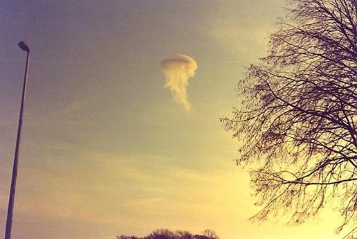 Nimbus Drifter (3.5e Monster) | Dungeons and Dragons Wiki | Fandom